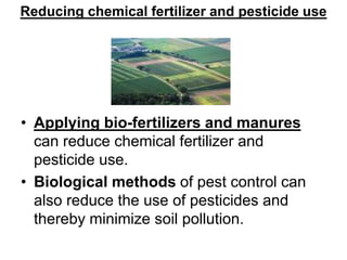 Land (Soil) Pollution lect-4.pptx | Gardening | Home & Garden