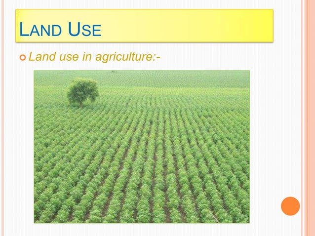 Land, soil, water, natural vegetation | PPTX