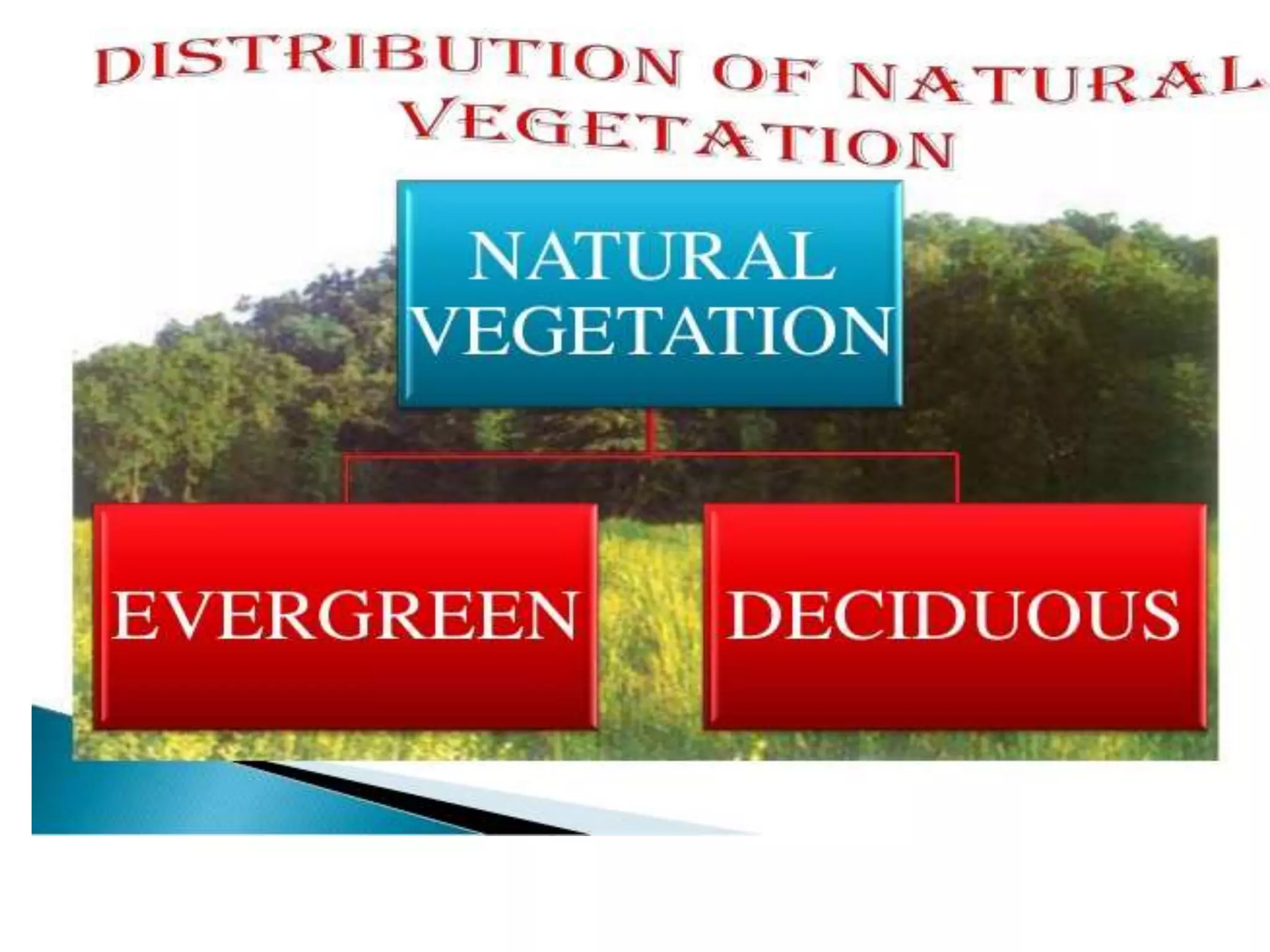Land, soil, water, natural vegetation class 8 geography-PPT | PPTX