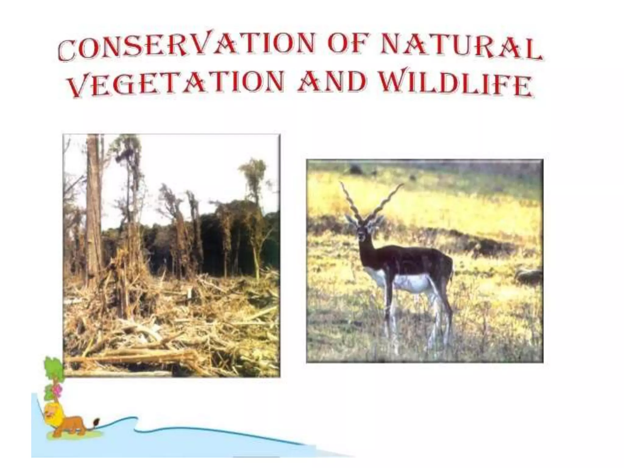 Land, soil, water, natural vegetation 8 class CBSE | PPTX