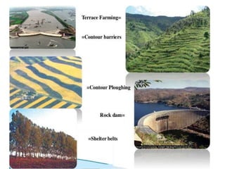 Land, soil, water, natural vegetation 8 class CBSE | PPTX