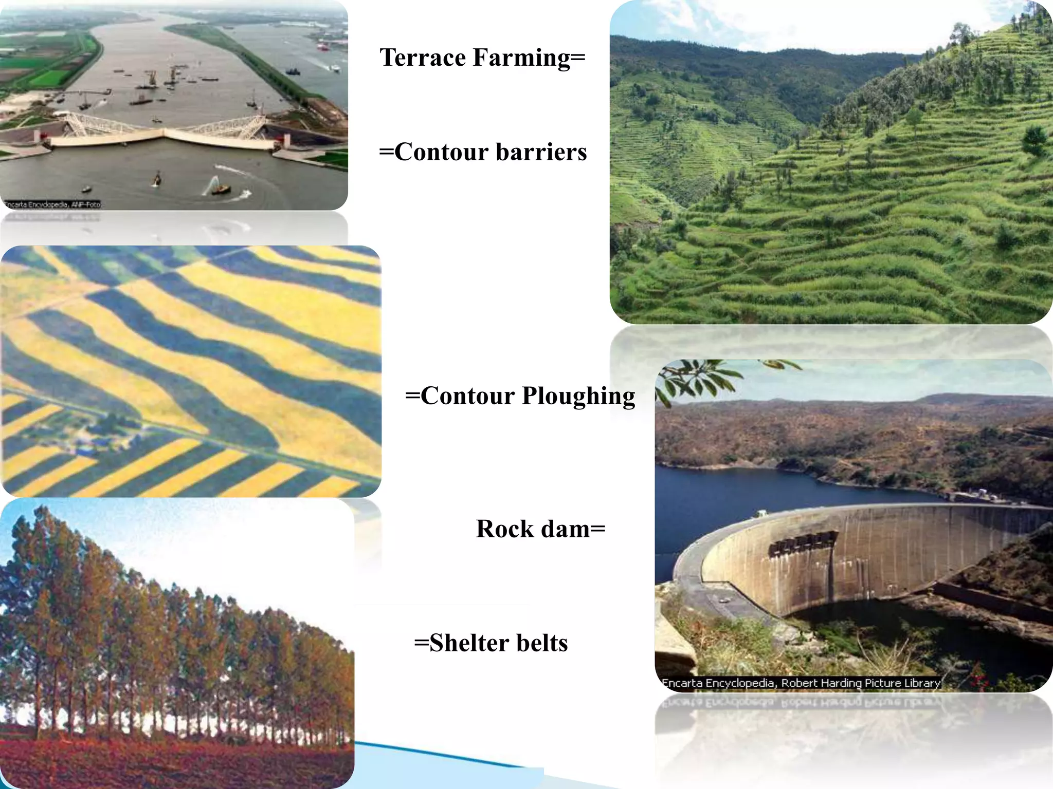 Land,soil,water,natural vegetation and wildlife VIII | PPTX