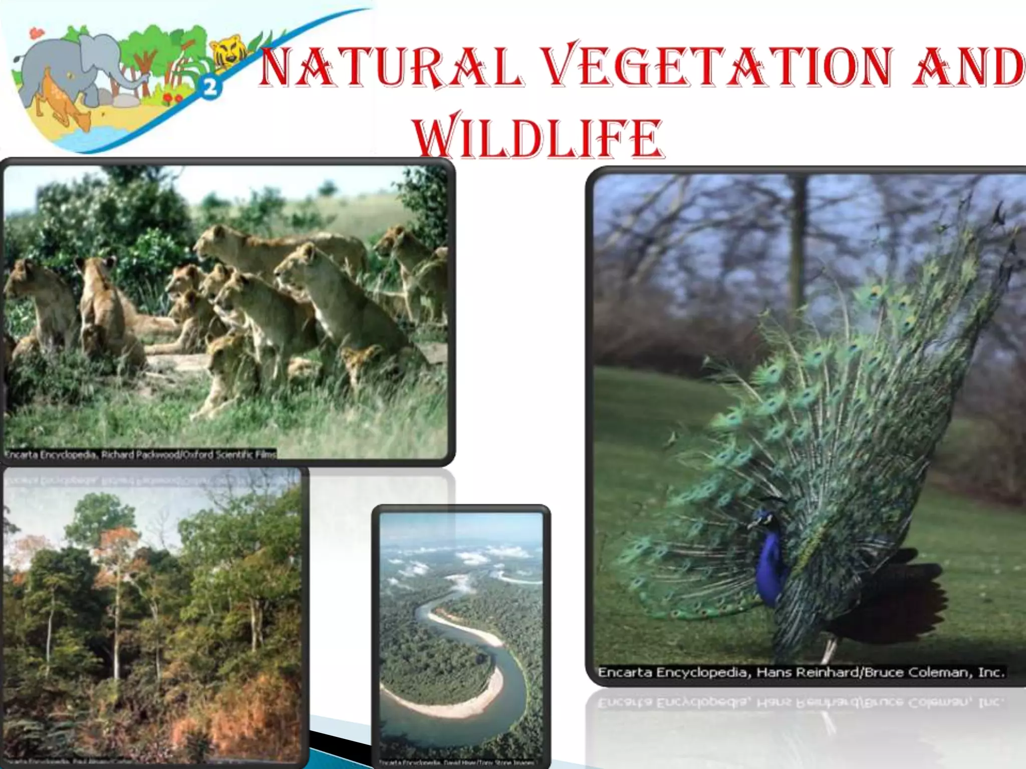 Land,soil,water,natural vegetation and wildlife VIII | PPTX