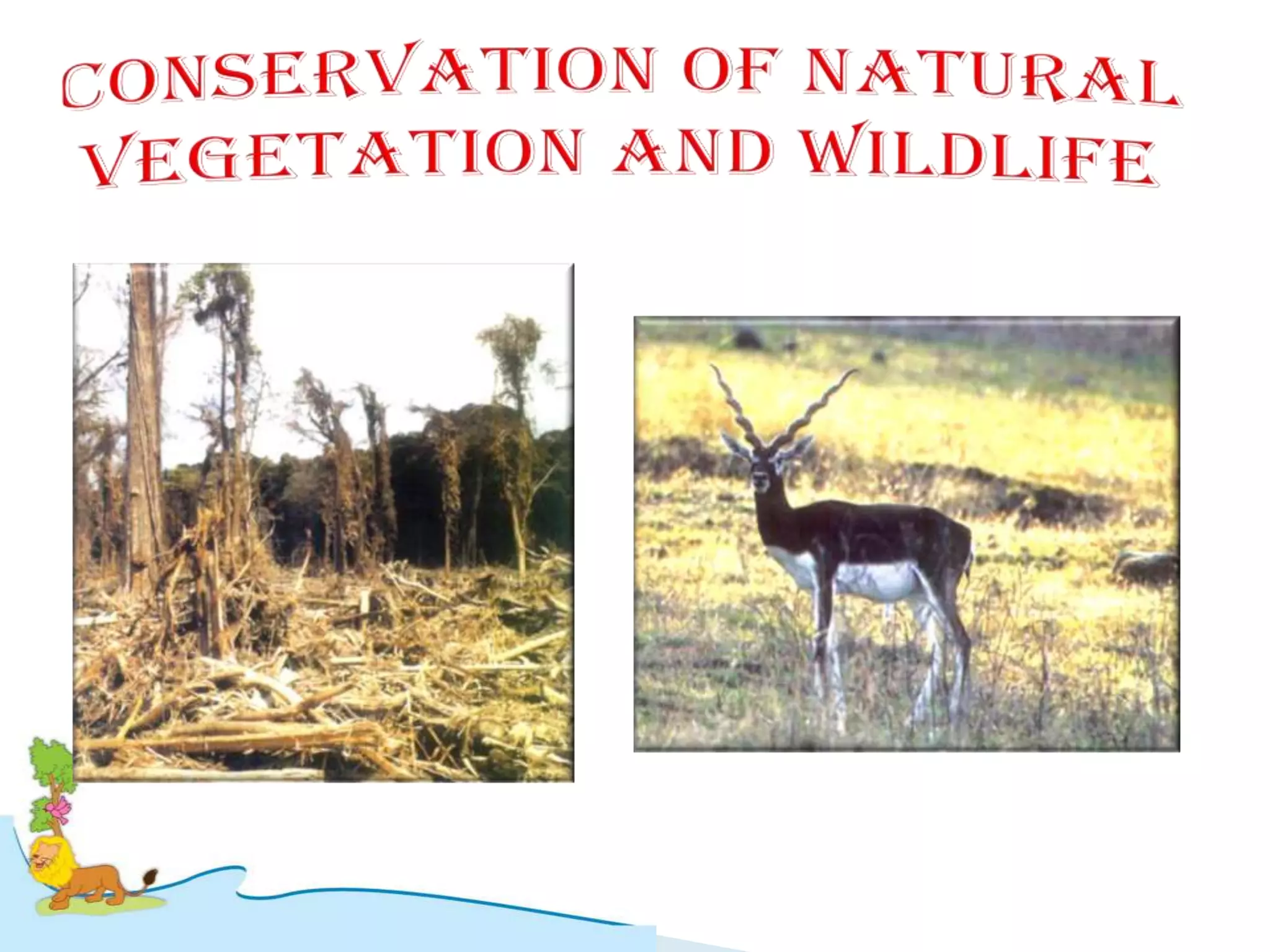 Land,soil,water,natural vegetation and wildlife VIII | PPTX