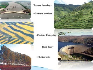 Land,soil,water,natural vegetation and wildlife VIII | PPTX