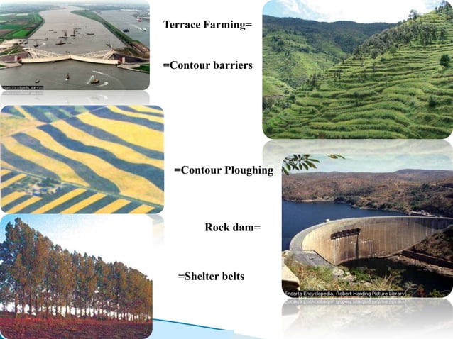 Land,soil,water,natural vegetation and wildlife VIII | PPTX ...