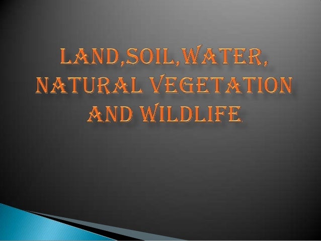 Land,soil,water,natural vegetation and wildlife VIII Land,soil,water,natural vegetation and wildlife VIII