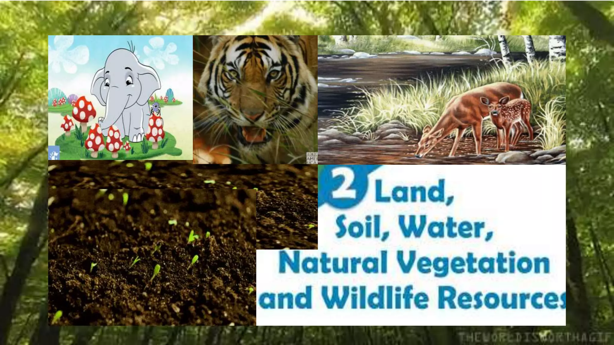 land, soil, water, natural vegetation and wildlife class 8.pptx