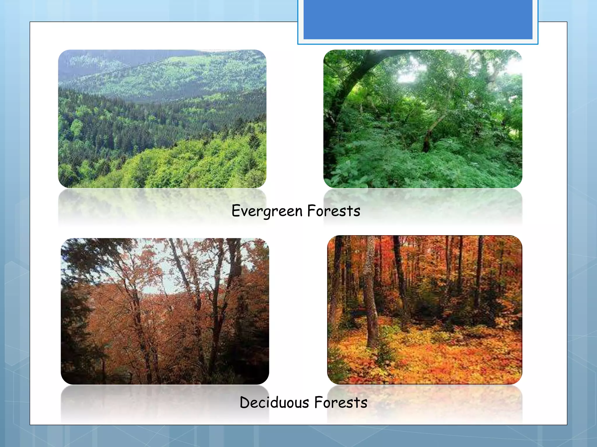 Land, soil, water, natural vegetation and wildlife resources | PPTX