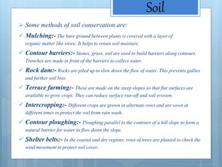 Land, soil, water, natural vegetation and wildlife resources | PPTX