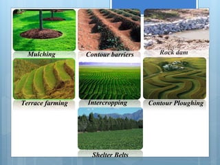 Land, soil, water, natural vegetation and wildlife resources | PPTX