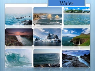 Land, soil, water, natural vegetation and wildlife resources | PPTX