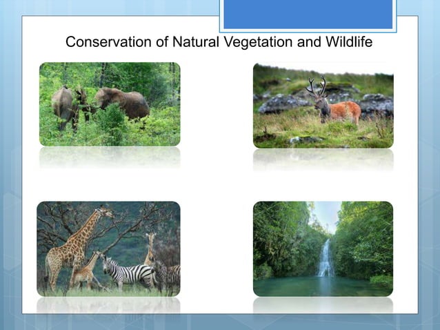 Land, soil, water, natural vegetation and wildlife resources | PPTX ...