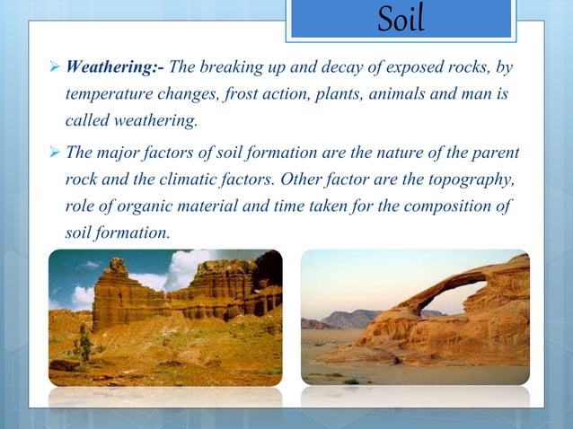 Land, soil, water, natural vegetation and wildlife resources | PPTX ...