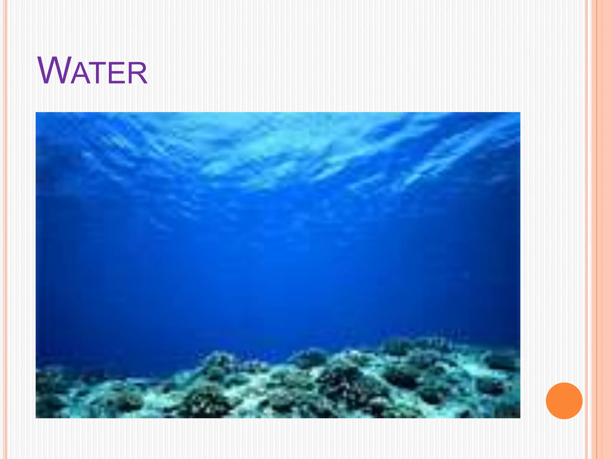 Land,Soil,Water,Natural Vegetation& Wildlife Resources.pptx