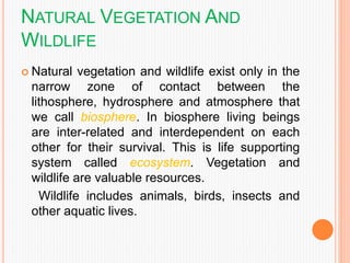 Land,Soil,Water,Natural Vegetation& Wildlife Resources.pptx