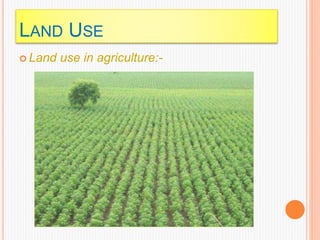 Land,Soil,Water,Natural Vegetation& Wildlife Resources.pptx