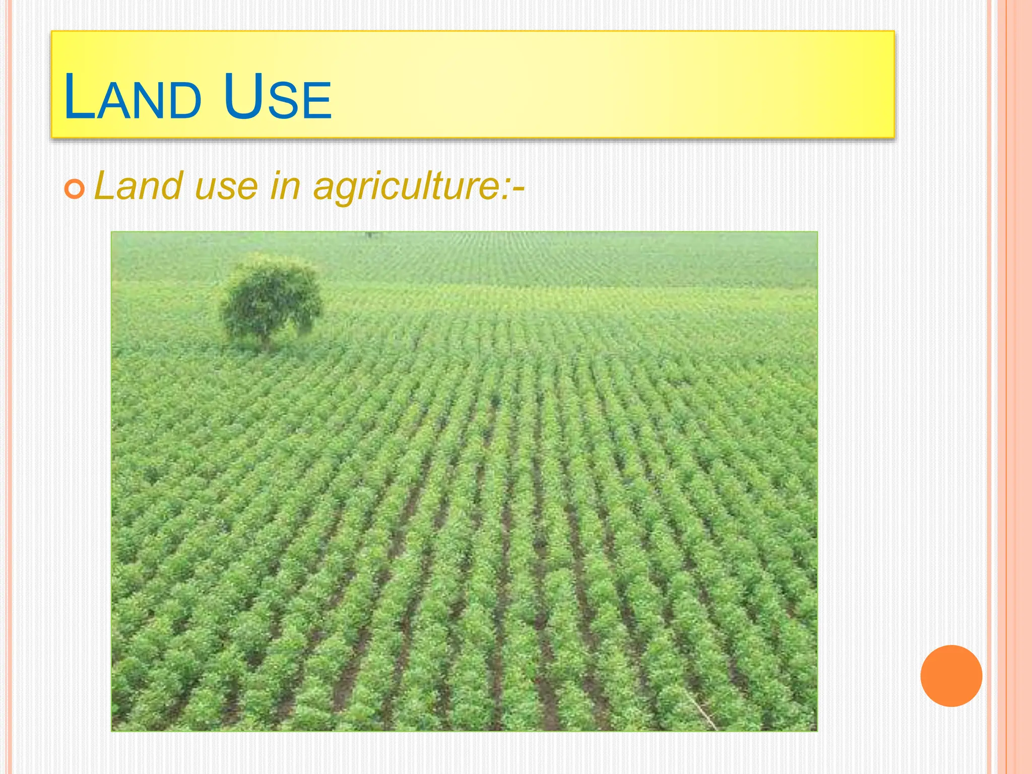 Land,Soil,Water,Natural Vegetation& Wildlife Resources.pptx