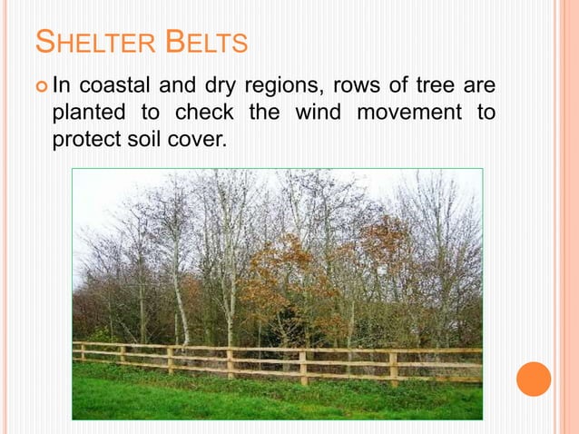 Land,Soil,Water,Natural Vegetation& Wildlife Resources.pptx