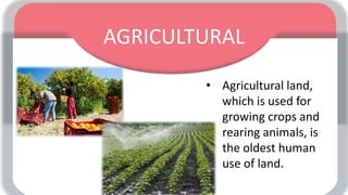 Land Use | PPTX