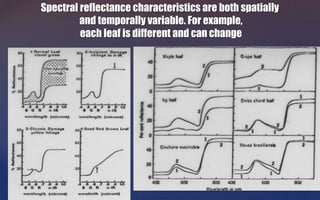 Landuse landcover mapping | PPTX