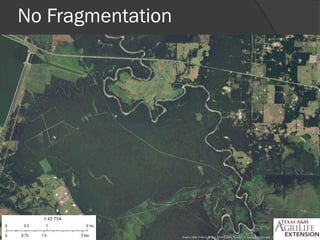 Land use trends in the Trinity River basin | PDF