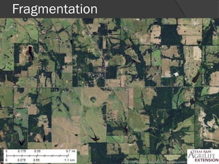 Land use trends in the Trinity River basin | PDF