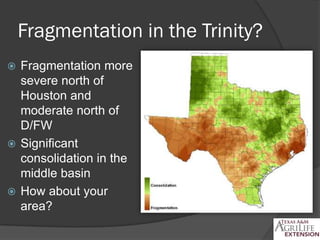 Land use trends in the Trinity River basin | PDF