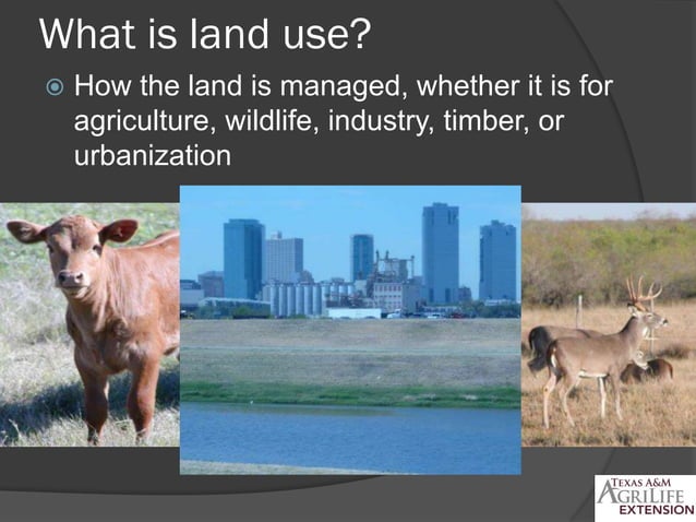 Land use trends in the Trinity River basin | PPT