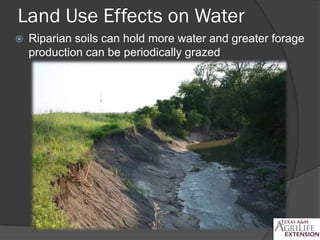 Land use trends in the Trinity River basin | PDF