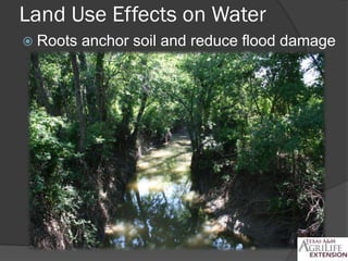 Land use trends in the Trinity River basin | PDF