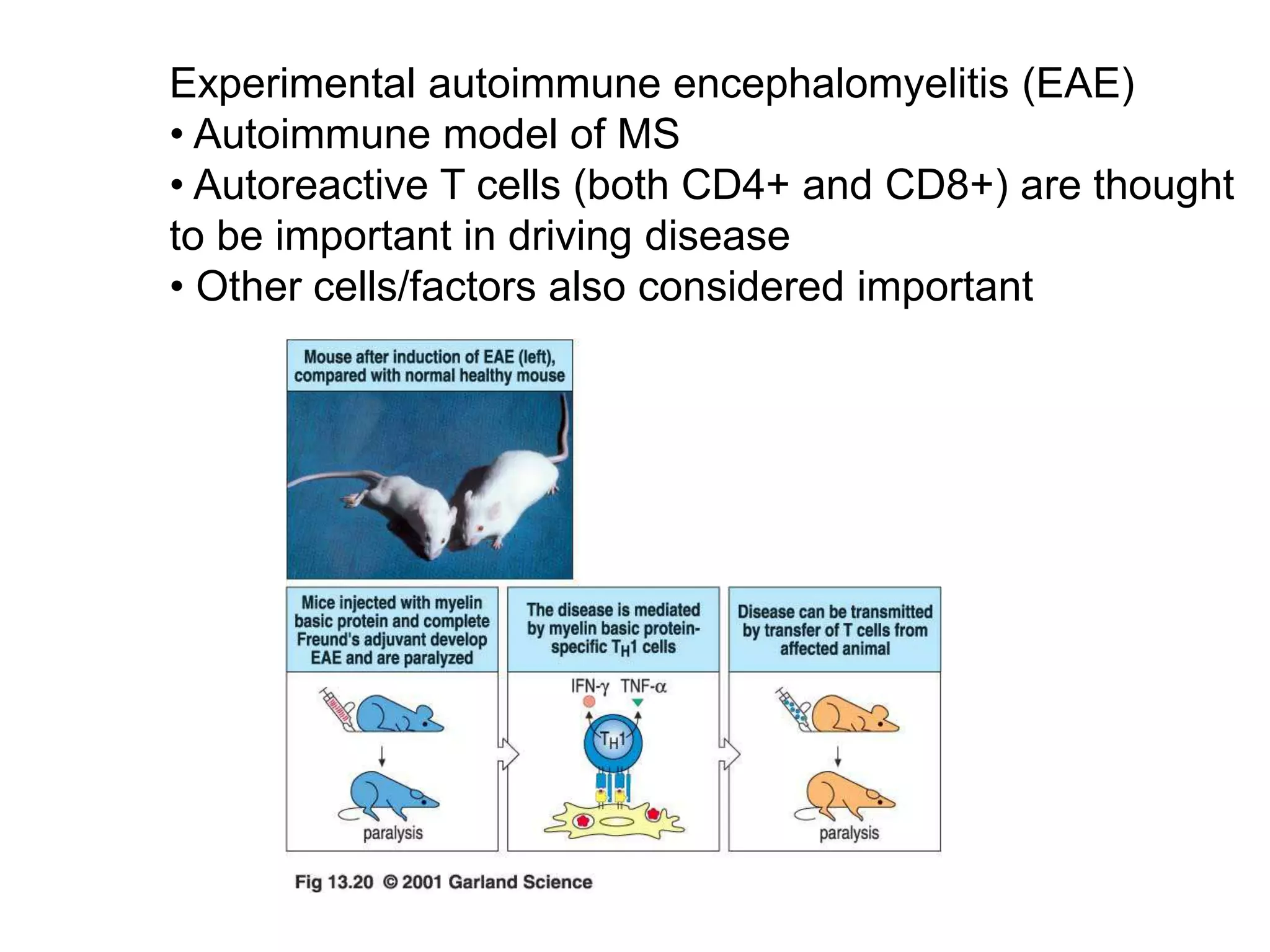 Lane_presentation_1.ppt