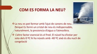 La neu | PPT