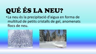 La neu | PPTX