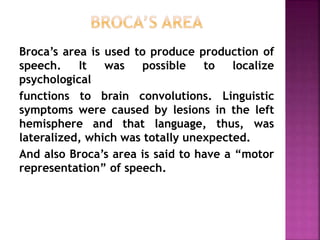 Lang. and brain | PPT