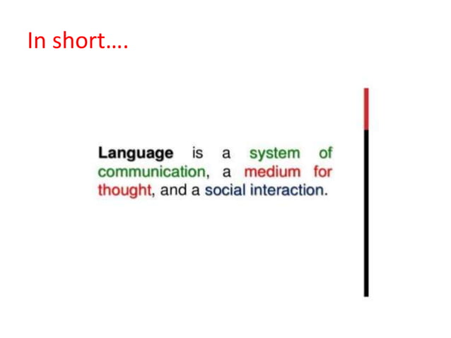 What is language? Definitions of different authors | PDF