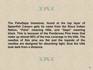 Langer Black Hills Silver Thimbles | PPT | Stamps and Coins | Collecting