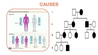 LANGER GIEDION SYNDROME | PDF
