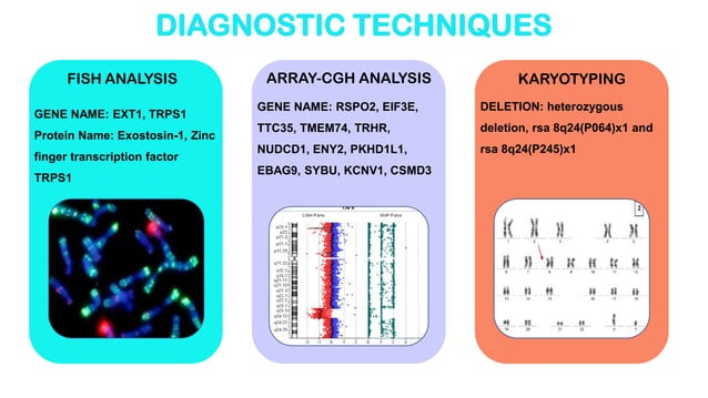 LANGER GIEDION SYNDROME | PDF | Genetics | Science