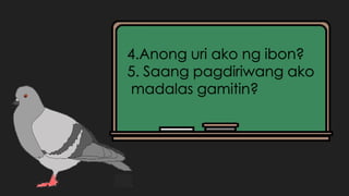 Mikling Kuwento. Ang Langgam at ang Kalapati | PDF