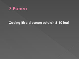 Langkah-langkah budidaya cacing sutera-1.pptx