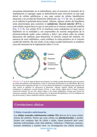 Langman Embriologia Medica 14e 2019_compressed (2).pdf