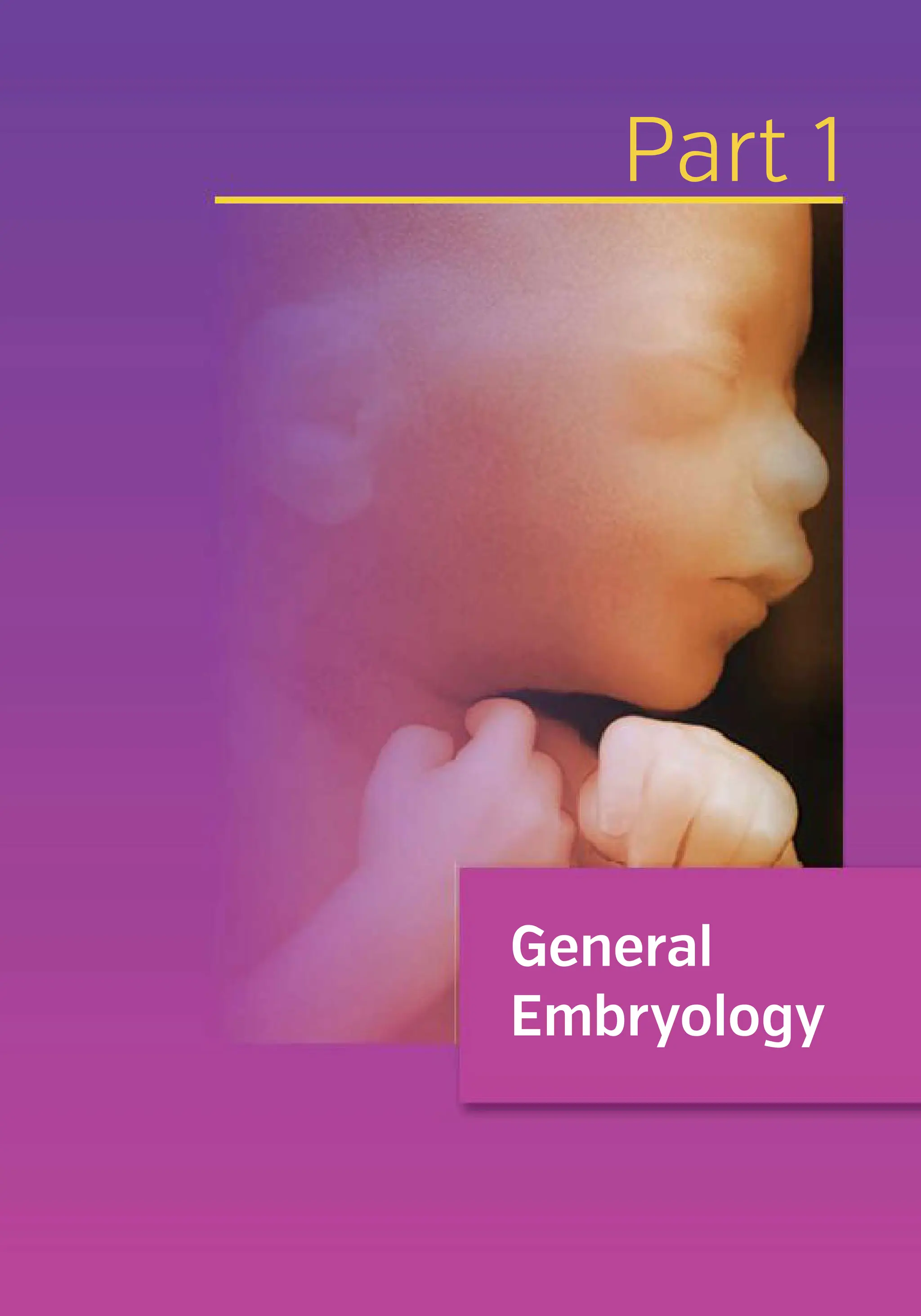 Langman's Medical Embryology 14th Ed.pdf