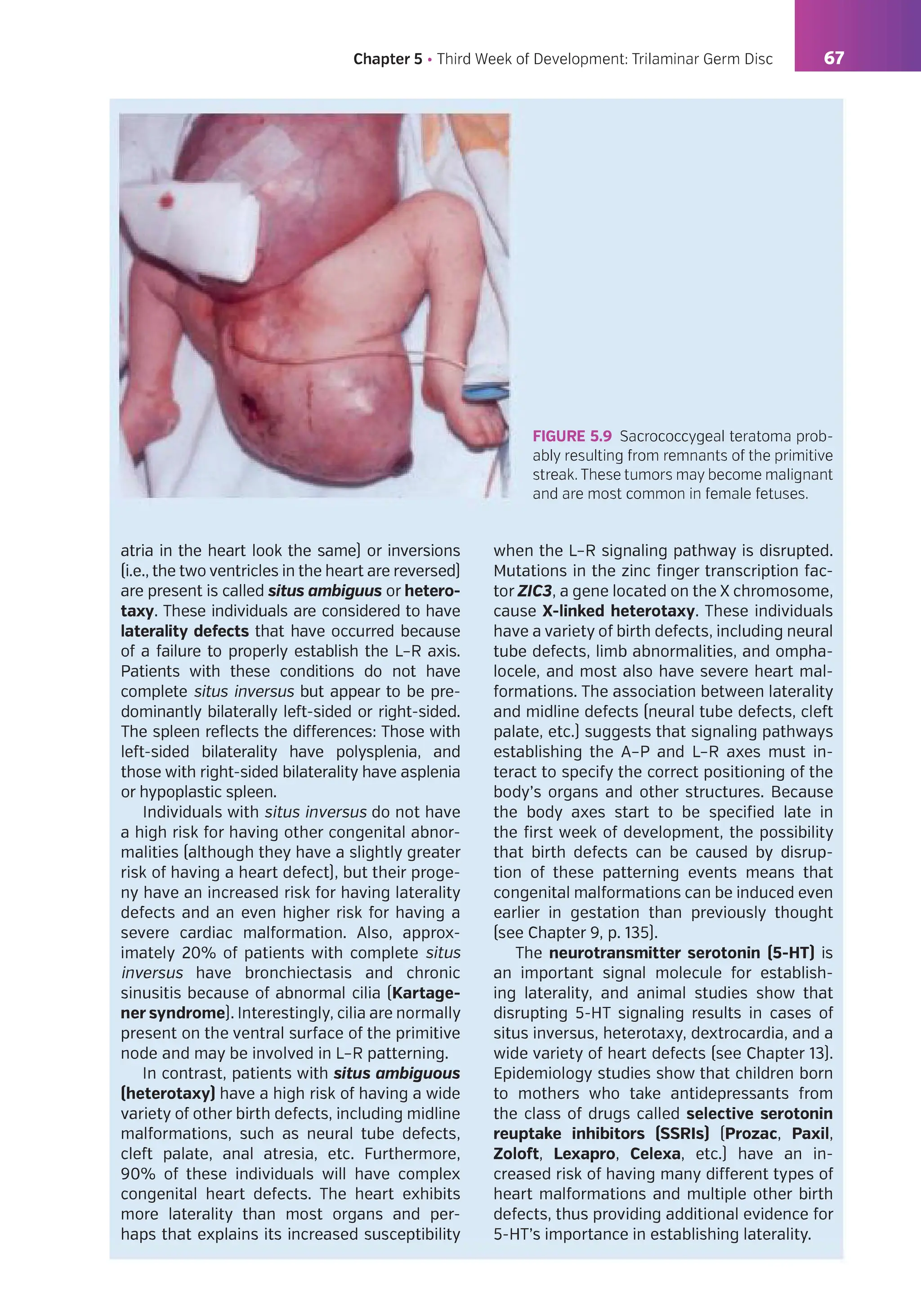 Langman's Medical Embryology 14th Ed.pdf