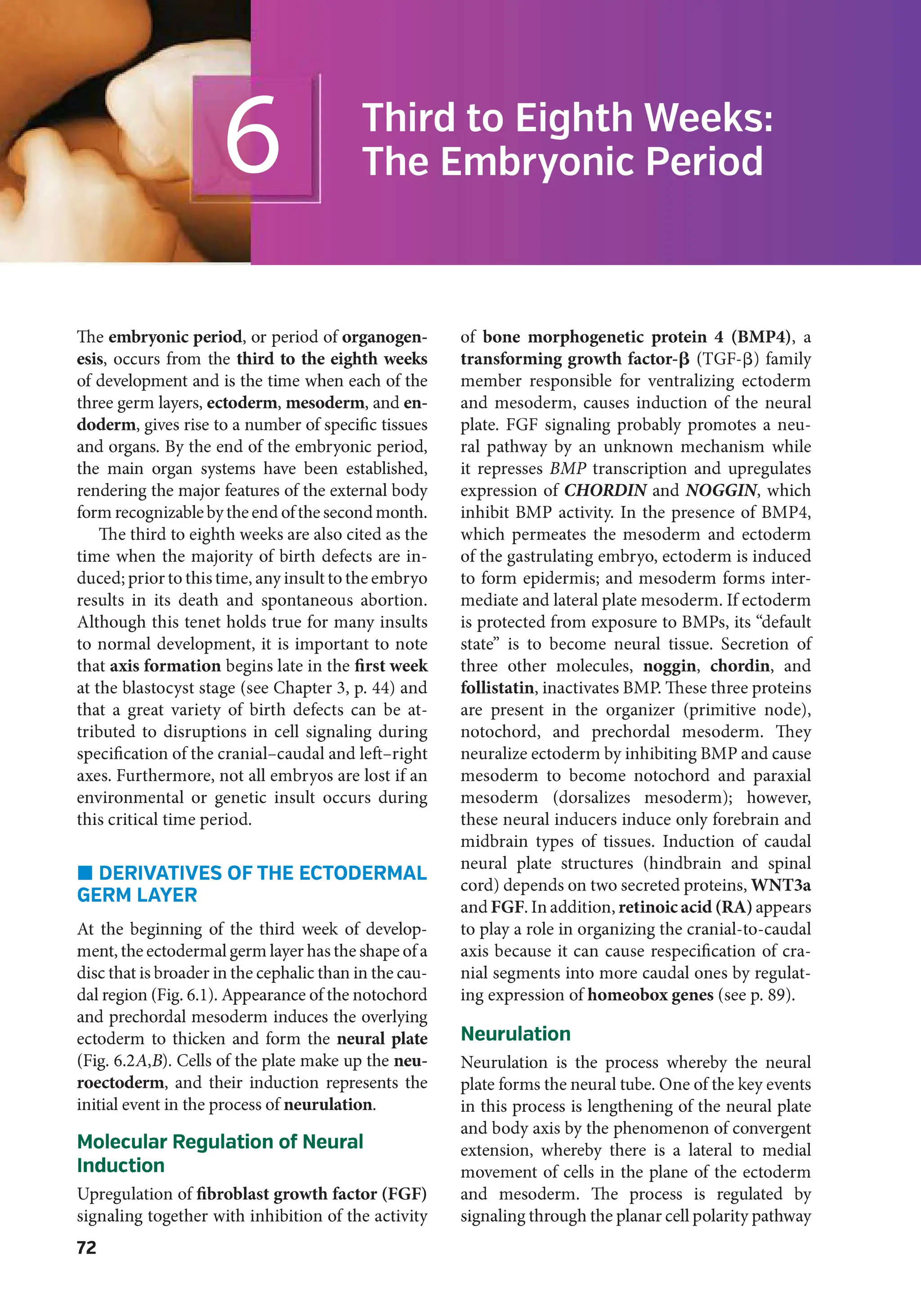 Langman's Medical Embryology 14th Ed.pdf