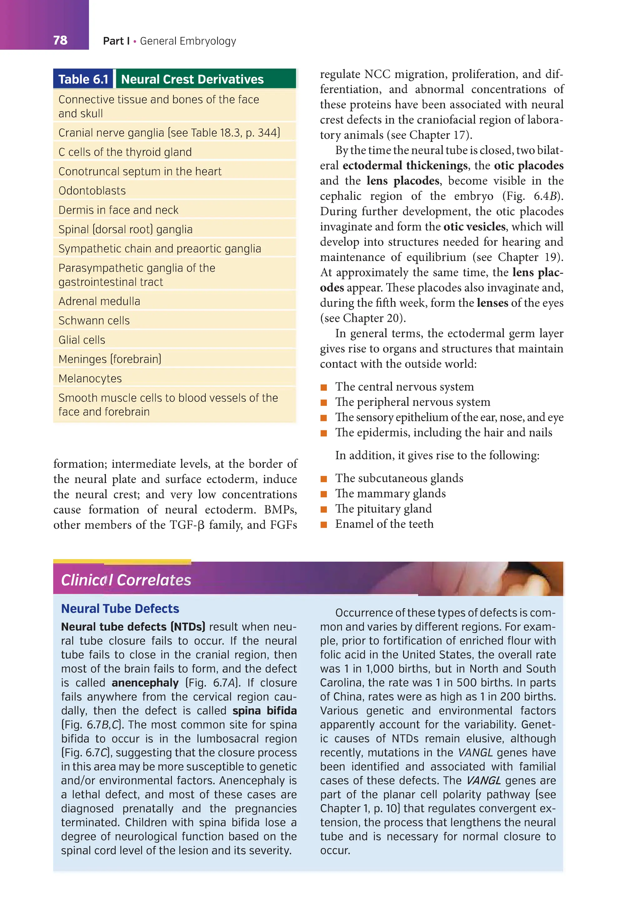 Langman's Medical Embryology 14th Ed.pdf