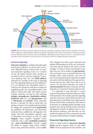 Langman's Medical Embryology 14th Ed.pdf