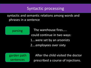 Lang process for human and comp | PPT