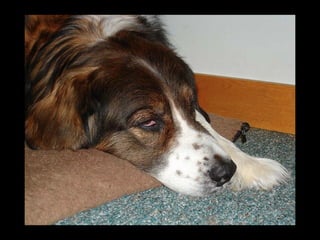 In the mood for being influential | PPT