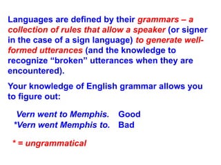 The structere of Language | PDF